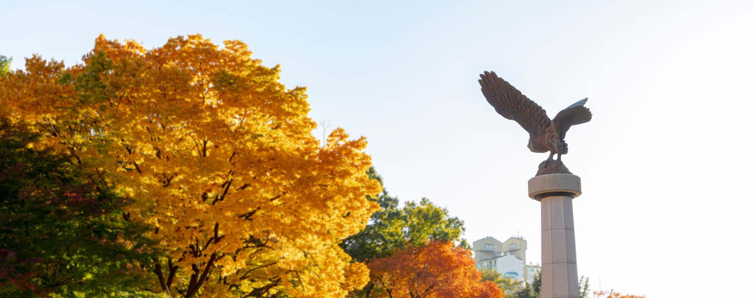 서울시립대학교
